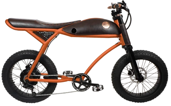 Rayvolt Ringo - Evolve Bike4all